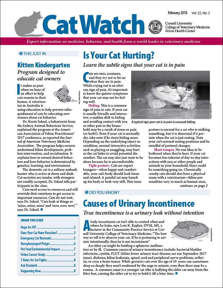 Download the Full February 2018 Issue PDF - Catwatch Newsletter