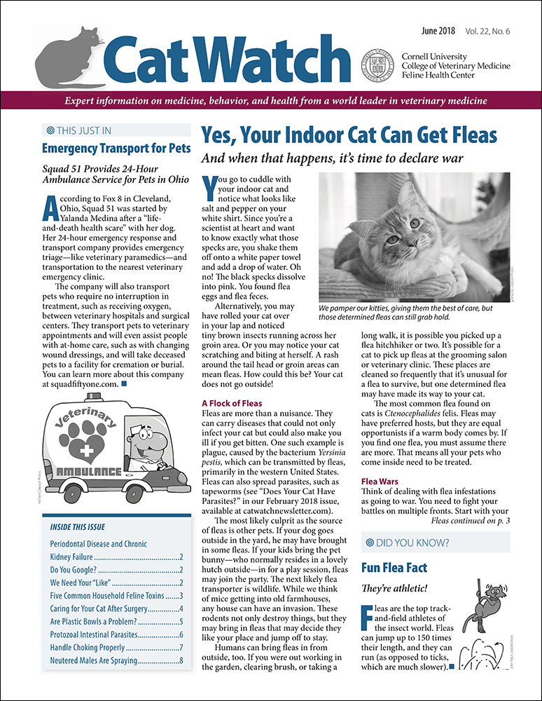 Download the Full June 2018 Issue PDF - Catwatch Newsletter