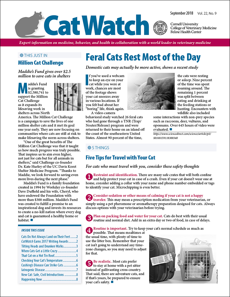 Download the Full September 2018 Issue PDF - Catwatch Newsletter