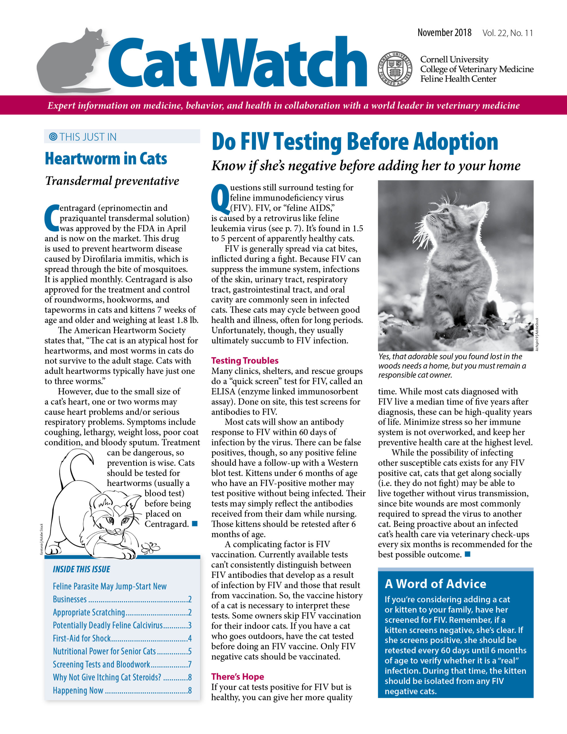 Download the Full November 2018 Issue PDF - Catwatch Newsletter