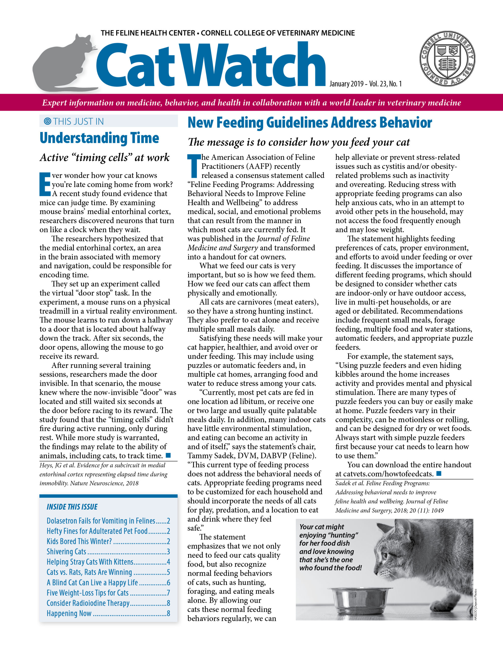 January-2019 Archives - Catwatch Newsletter