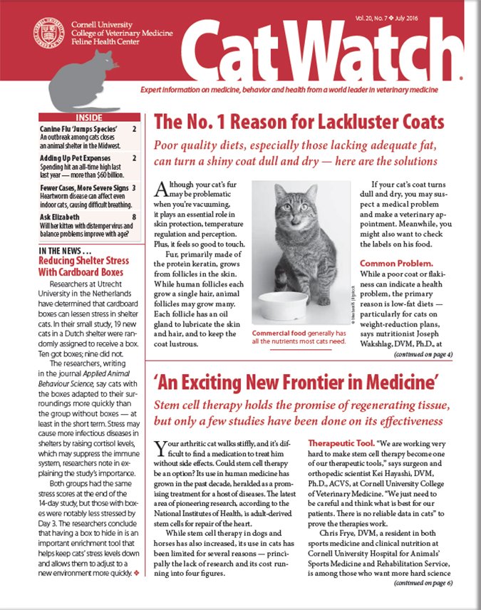 Download The Full July 2016 Issue Pdf Catwatch Newsletter
