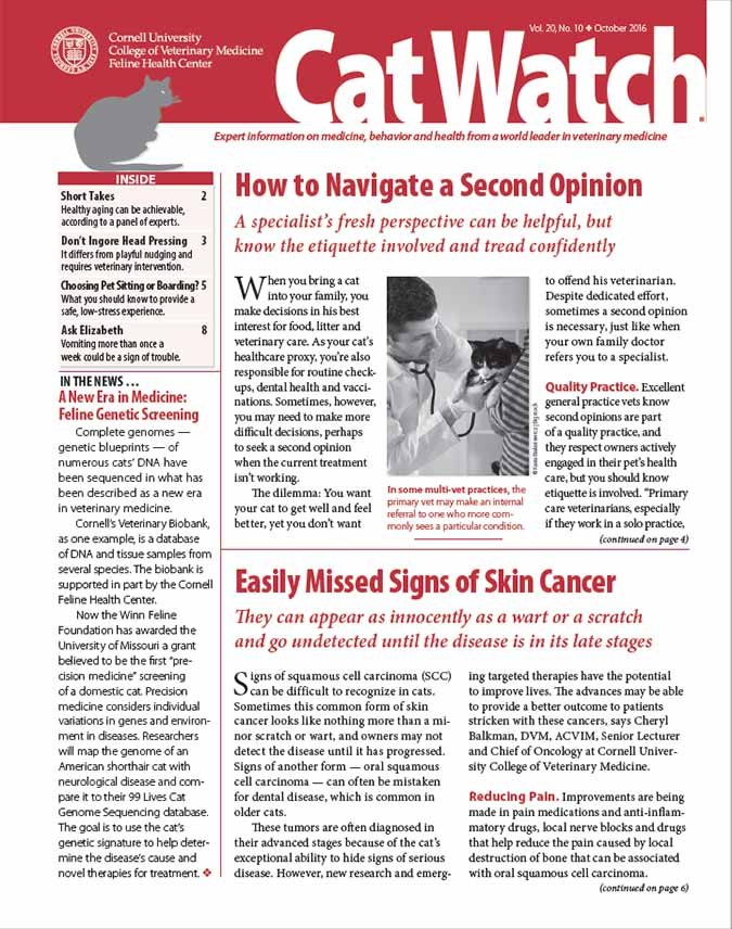 Download the Full October 2016 Issue PDF - Catwatch Newsletter