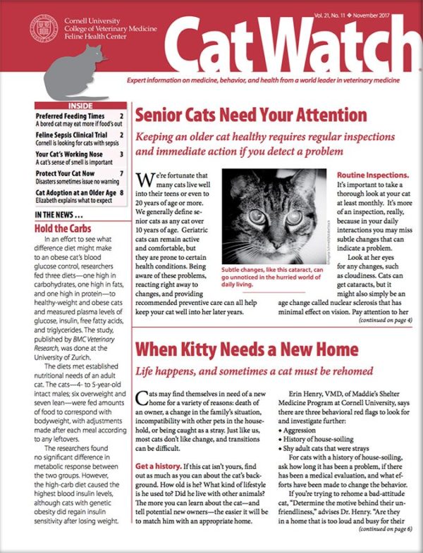 Download the Full November 2017 Issue PDF - Catwatch Newsletter