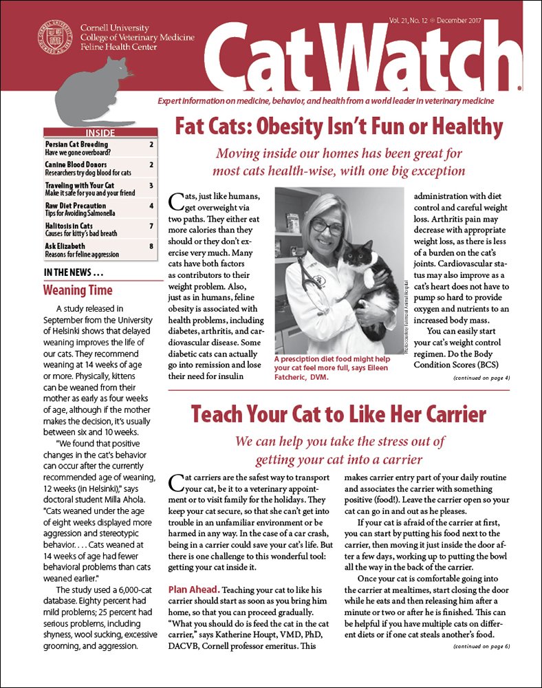 Download the Full December 2017 Issue PDF - Catwatch Newsletter