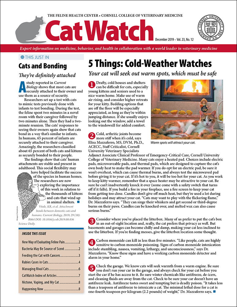 Download the Full December 2019 Issue PDF - Catwatch Newsletter