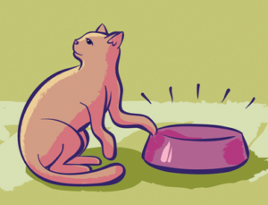 Cachexia Worsens the Prognosis - Catwatch Newsletter