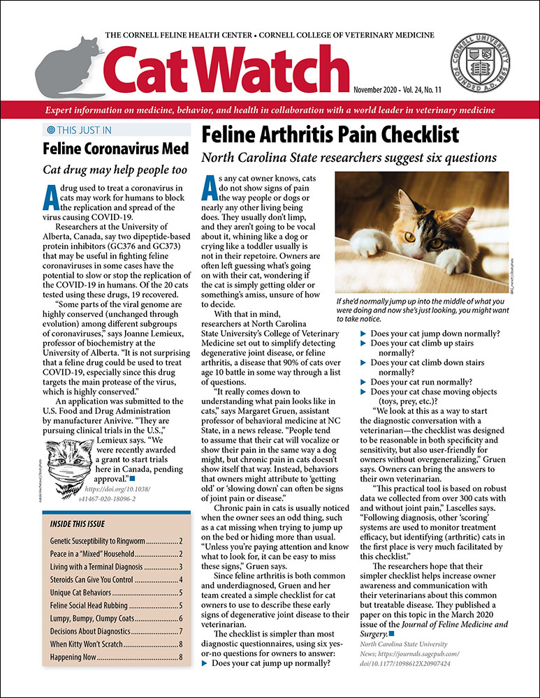 Download the Full November 2020 Issue PDF - Catwatch Newsletter