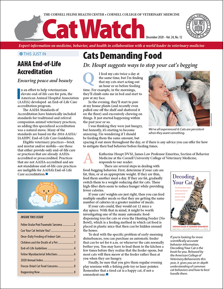Download the Full December 2020 Issue PDF - Catwatch Newsletter