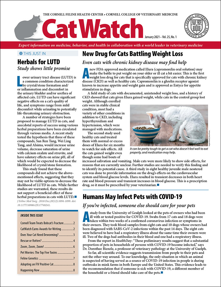 Download the Full January 2021 Issue PDF - Catwatch Newsletter