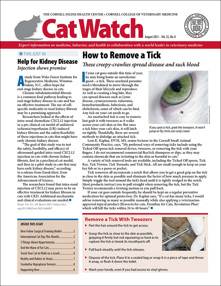 Download the Full August 2021 Issue PDF - Catwatch Newsletter