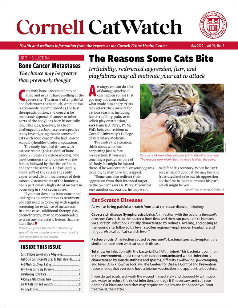Download The Full May 2022 Issue PDF - Catwatch Newsletter