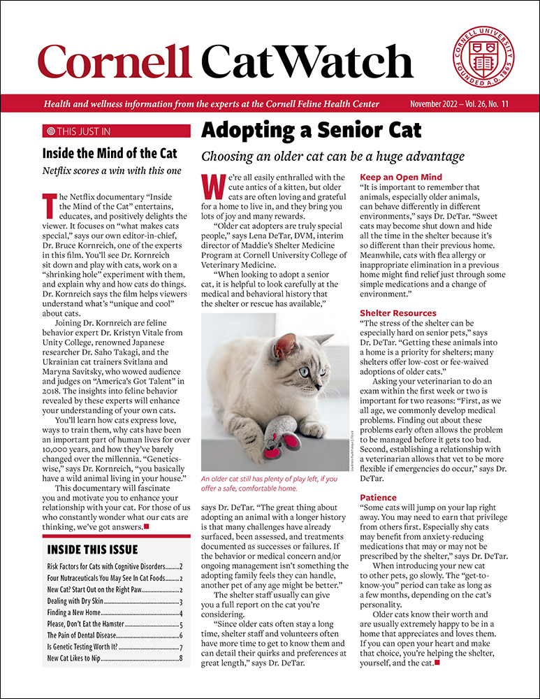 Download The Full November 2022 Issue PDF - Catwatch Newsletter