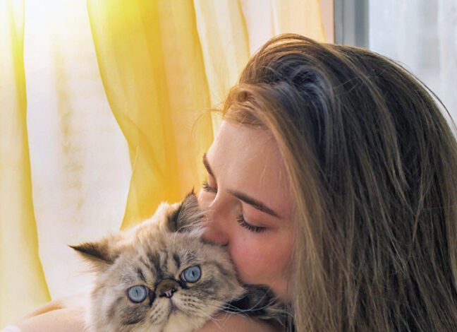 Registration Complete - Catwatch Newsletter