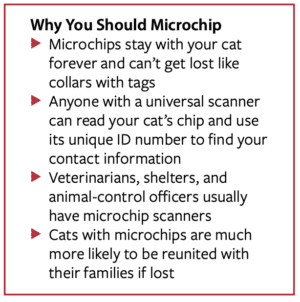 Say Yes to Microchips - Catwatch Newsletter