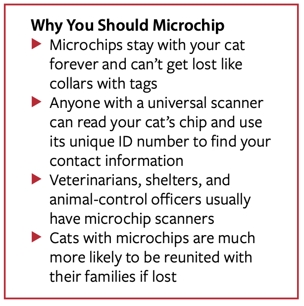 Say Yes to Microchips - Catwatch Newsletter