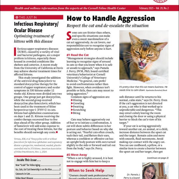 Full Issue PDF Archives - Catwatch Newsletter