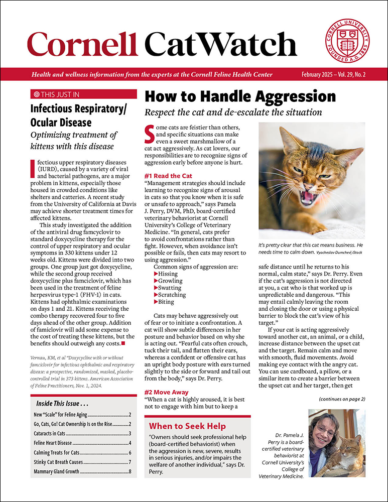 Home - Catwatch Newsletter