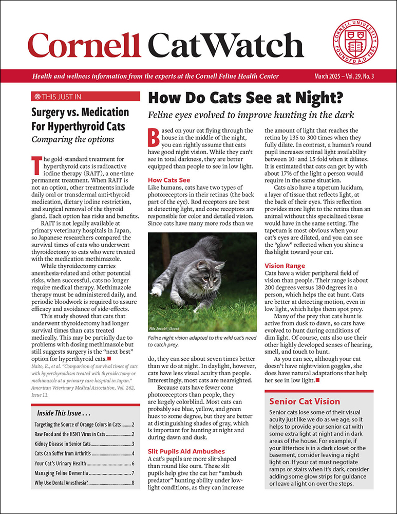 Home - Catwatch Newsletter