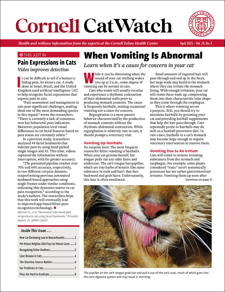 Home - Catwatch Newsletter