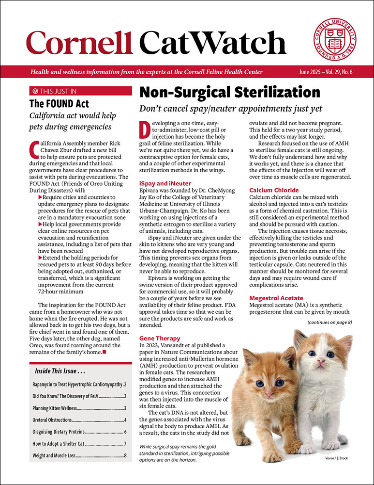 Home - Catwatch Newsletter